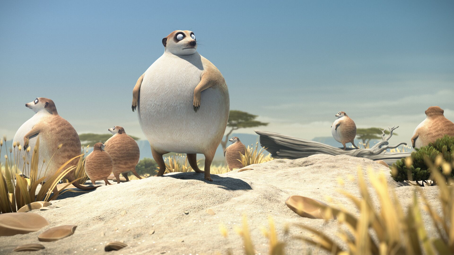 Too Round to Run: ROLLIN' SAFARI