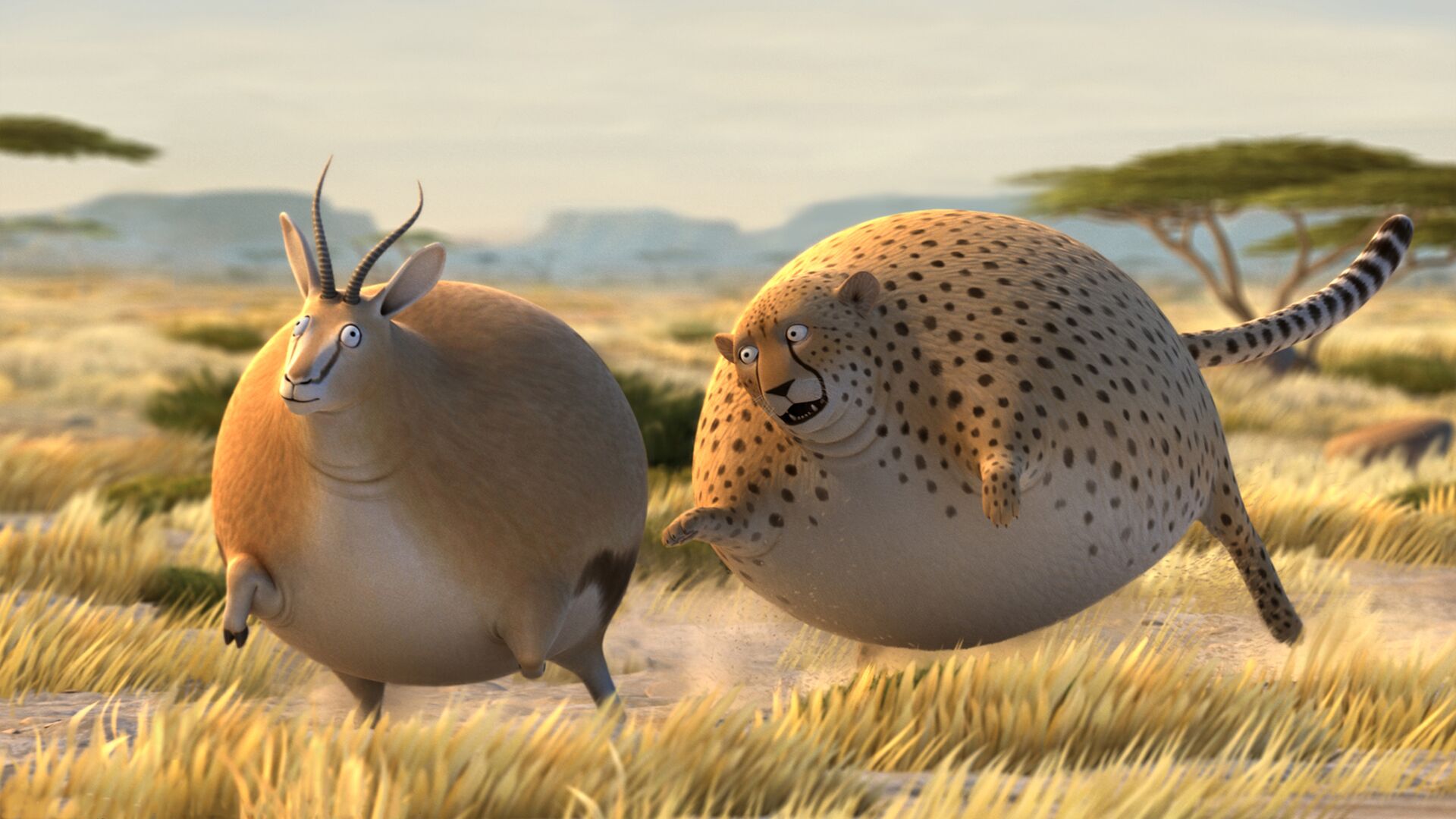 Zu rund zum Laufen: ROLLIN' SAFARI